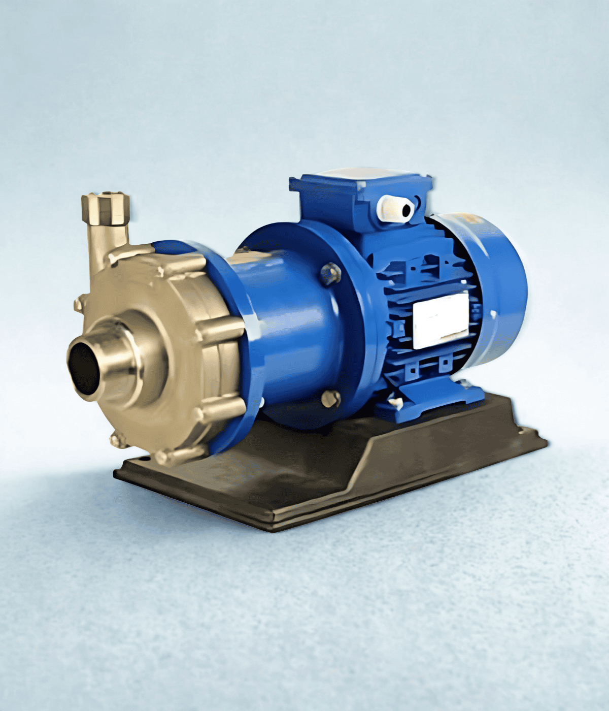 SS Magnetic Drive Pump
